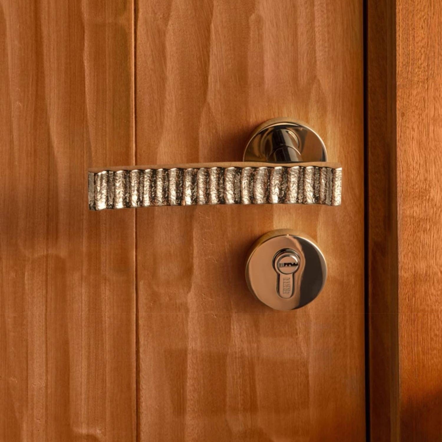 Elegant Textured Door Handle Luxury Brass Door Hardware Titanium Silve